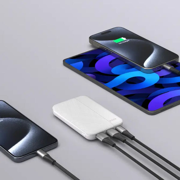 LAX Fast Charging 6600mAh Power Bank – LAXGadgets.net