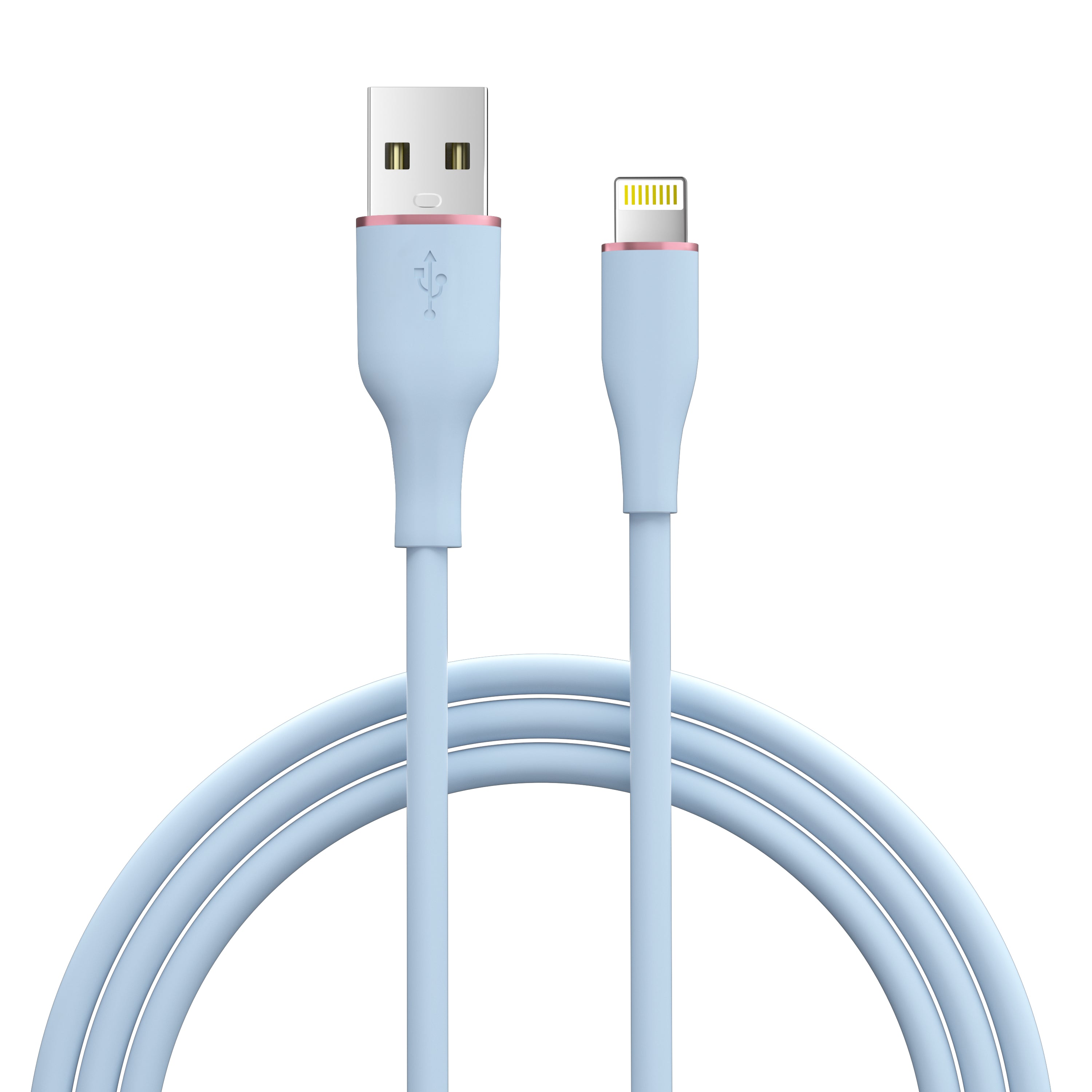 LAX Apple MFi Certified Braided Iphone Cable - 10 Feet – LAXGadgets.net